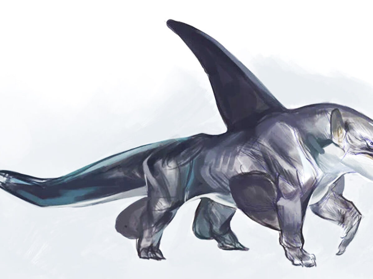 Arctic Hunter Mythical Spirit